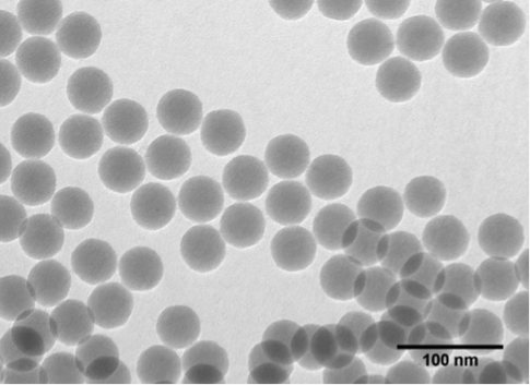 Model Systems - ICS-3